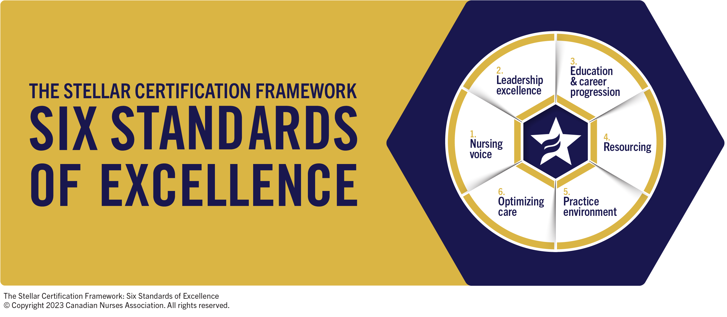 Stellar Standards - Canadian Nurses Association